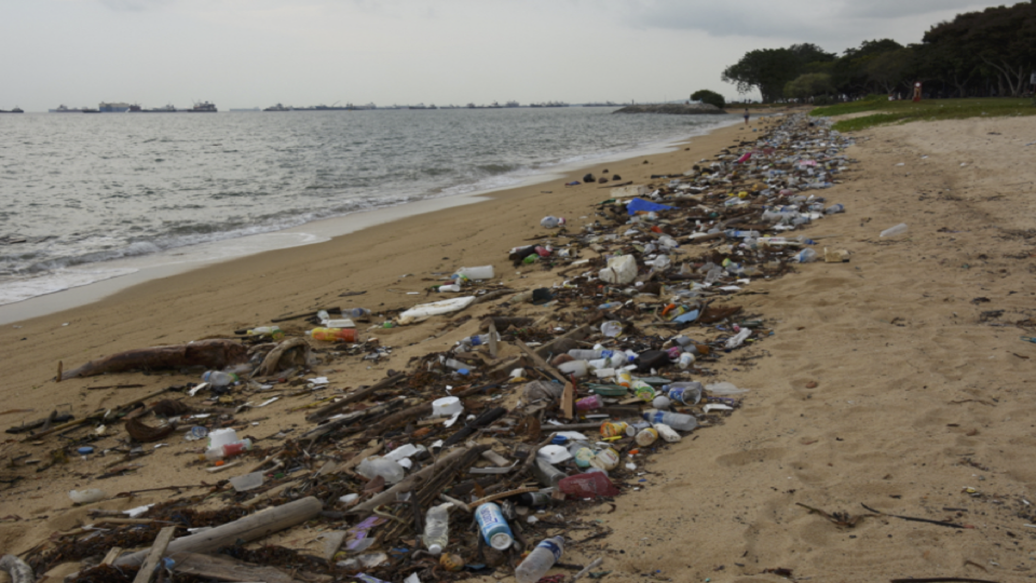 Invisible Plastic, Visible Impact: Microplastics and Our Seas – Valle ...